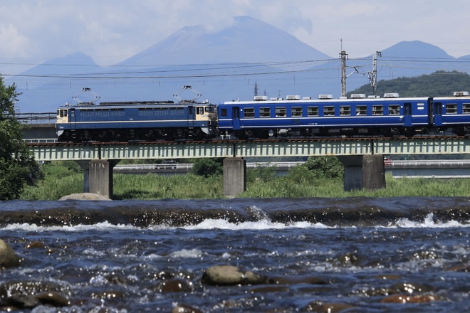 高崎車両センター高崎支所 EF65 501 の写真 |鉄道写真投稿サイトTrain-Directory