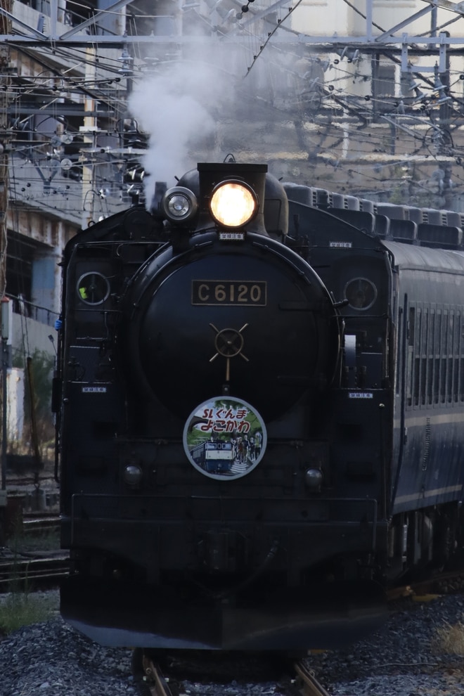 高崎車両センター高崎支所 C61 20 の写真 |鉄道写真投稿サイトTrain-Directory
