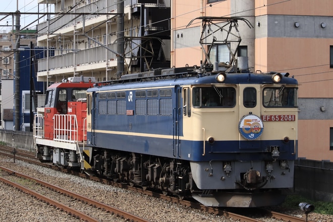 新鶴見機関区 EF65 2081 の写真 |鉄道写真投稿サイトTrain-Directory