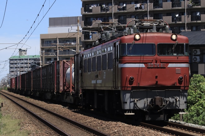 門司機関区 ED76 81 の写真 |鉄道写真投稿サイトTrain-Directory
