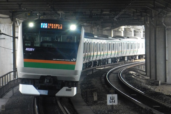 国府津車両センター E233系 コツE-73編成 の写真 |鉄道写真投稿サイトTrain-Directory