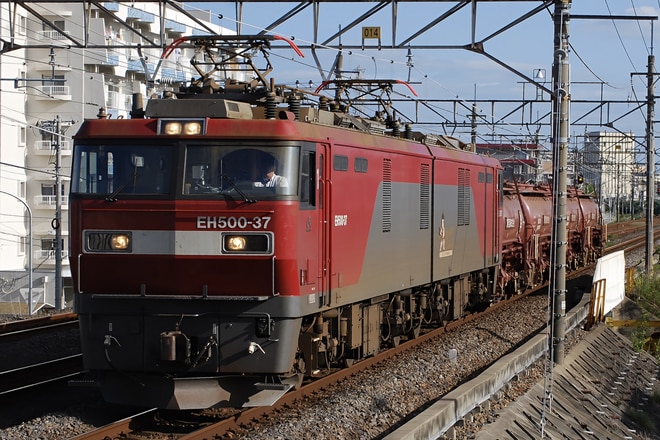 仙台総合鉄道部 EH500 37 の写真 |鉄道写真投稿サイトTrain-Directory
