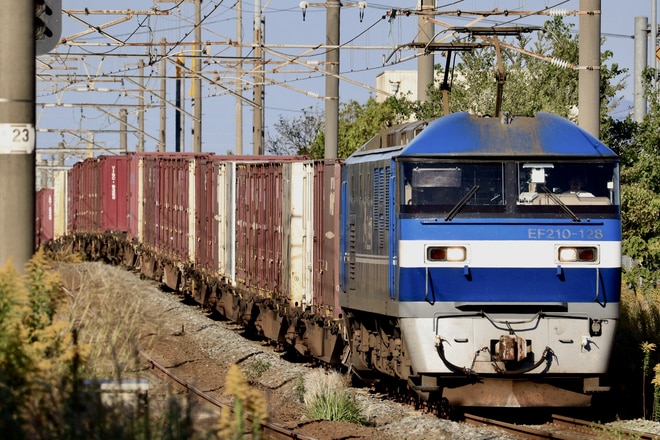 岡山機関区 EF210 128 の写真 |鉄道写真投稿サイトTrain-Directory