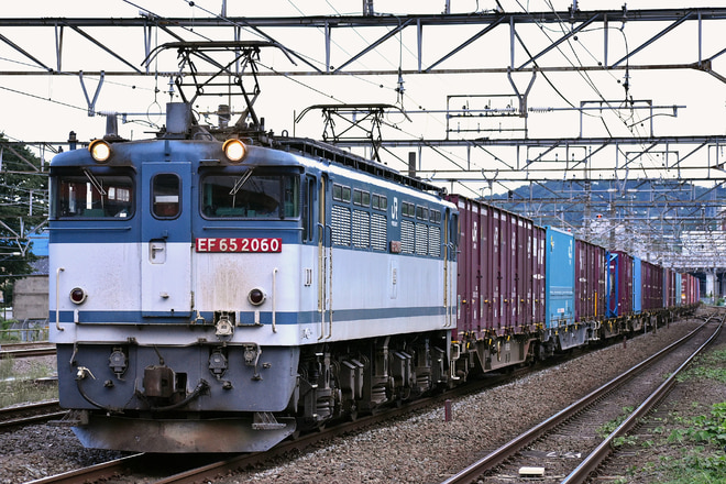 新鶴見機関区 EF65 2060 の写真 |鉄道写真投稿サイトTrain-Directory
