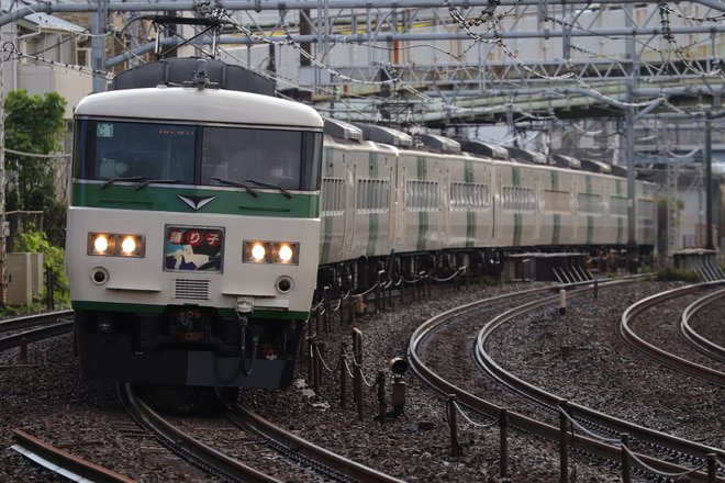 大宮総合車両センター本区 185系 の写真 |鉄道写真投稿サイトTrain-Directory
