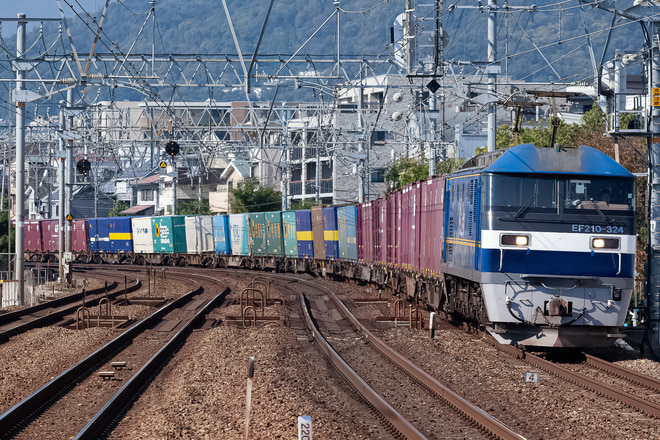EF210 324 の写真 |鉄道写真投稿サイトTrain-Directory