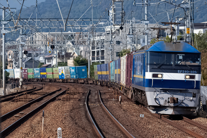 EF210 325 の写真 |鉄道写真投稿サイトTrain-Directory