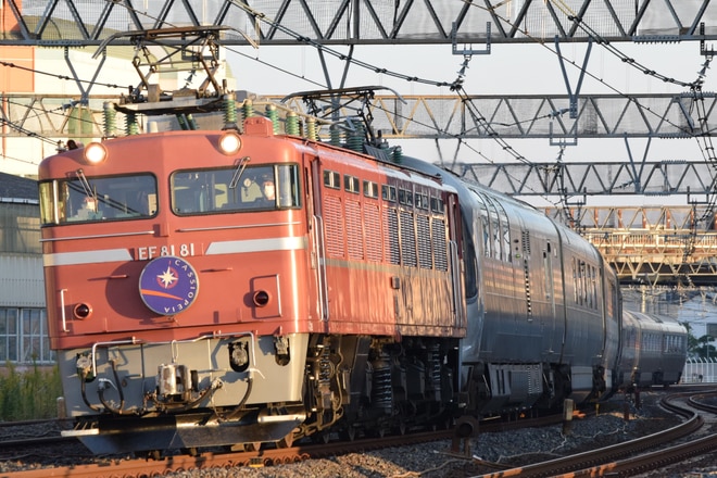 尾久車両センター EF81形 EF81-81 の写真 |鉄道写真投稿サイトTrain-Directory
