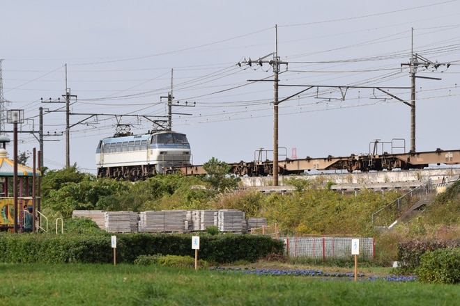 吹田機関区 EF66 130 の写真 |鉄道写真投稿サイトTrain-Directory