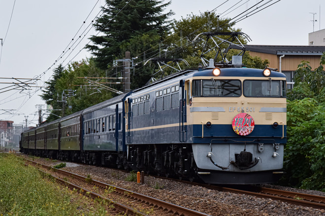 EF65 501 の写真 |鉄道写真投稿サイトTrain-Directory