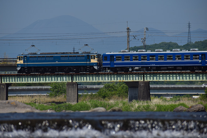 EF65 501 の写真 |鉄道写真投稿サイトTrain-Directory