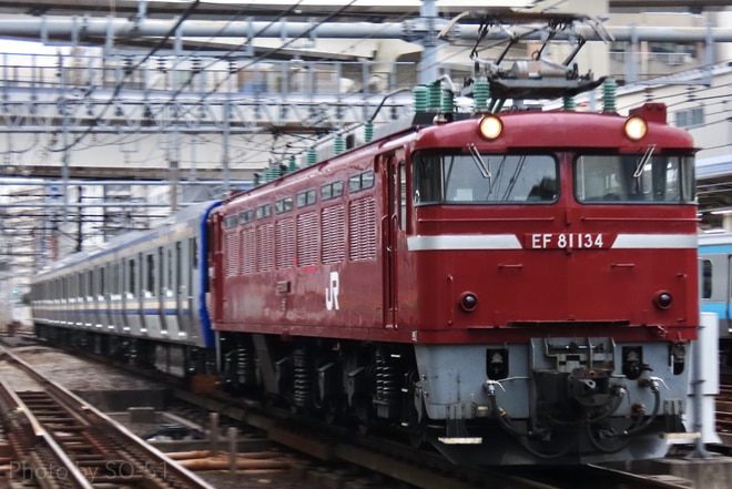 新潟車両センター EF81 134 の写真 |鉄道写真投稿サイトTrain-Directory