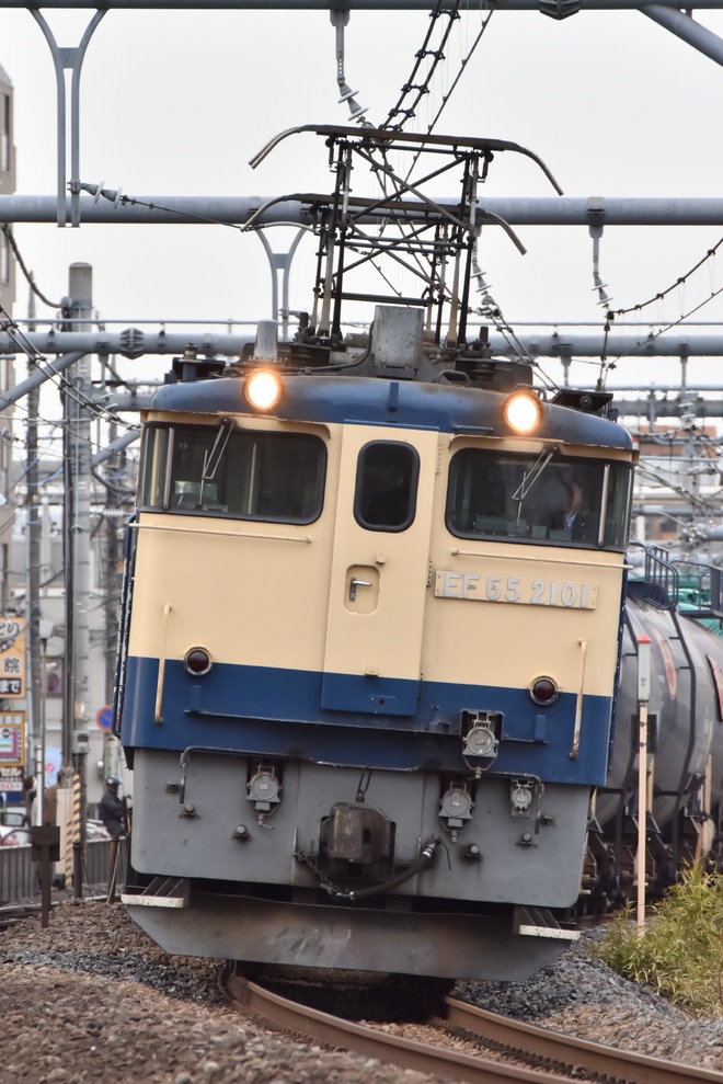 新鶴見機関区 EF65 2101 の写真 |鉄道写真投稿サイトTrain-Directory