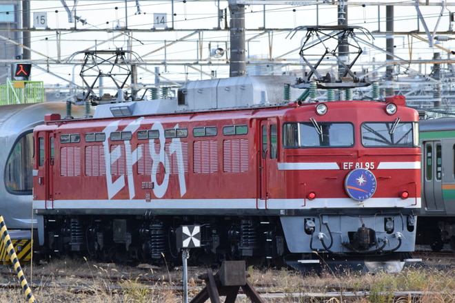 尾久車両センター EF81形 EF81-95 の写真 |鉄道写真投稿サイトTrain-Directory