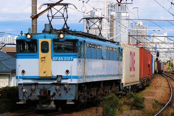 新鶴見機関区 EF65 2127 の写真 |鉄道写真投稿サイトTrain-Directory