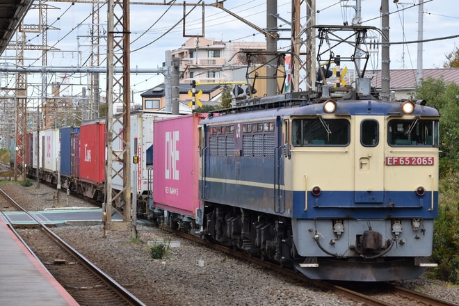 新鶴見機関区 EF65 2065 の写真 |鉄道写真投稿サイトTrain-Directory