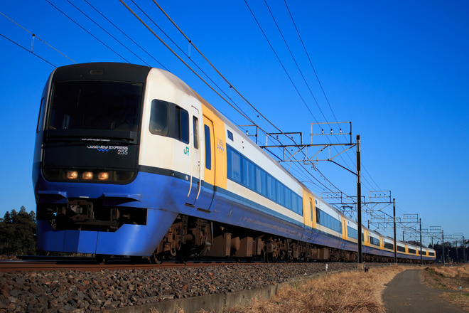 255系 の写真 |鉄道写真投稿サイトTrain-Directory