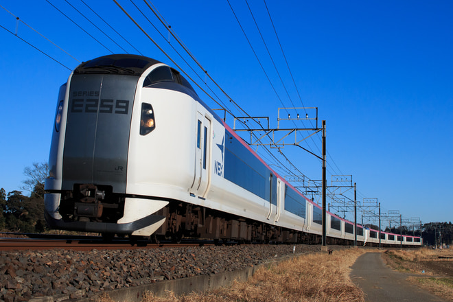 E259系 の写真 |鉄道写真投稿サイトTrain-Directory