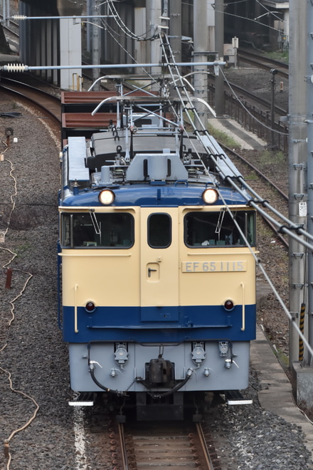 尾久車両センター EF65 EF65-1115 の写真 |鉄道写真投稿サイトTrain-Directory