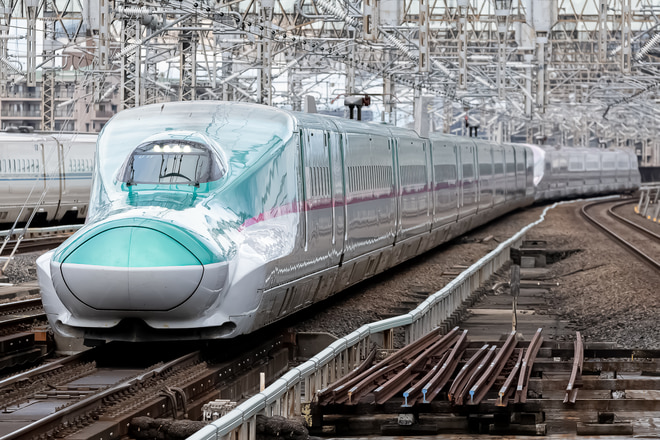 E5系 U11編成 の写真 |鉄道写真投稿サイトTrain-Directory