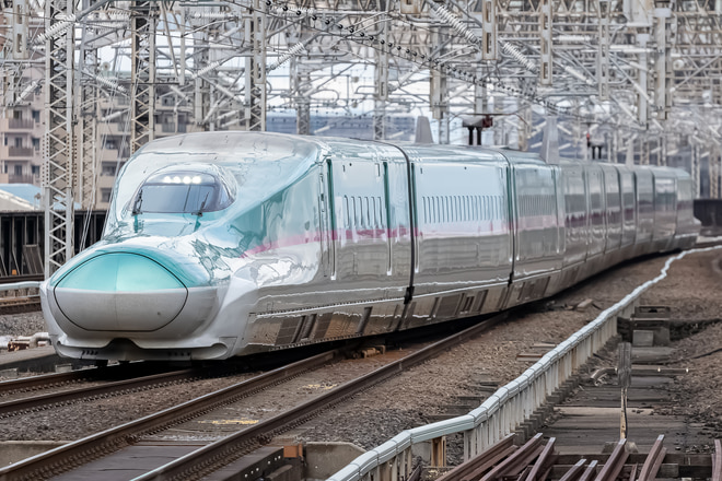 E5系 U34編成 の写真 |鉄道写真投稿サイトTrain-Directory