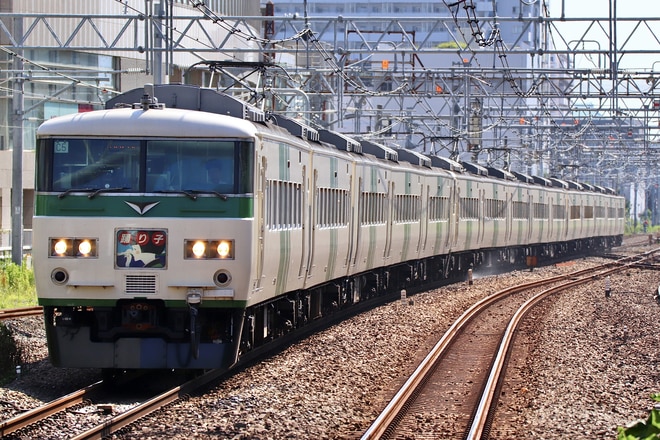 大宮総合車両センター東大宮センター 185系 の写真 |鉄道写真投稿サイトTrain-Directory