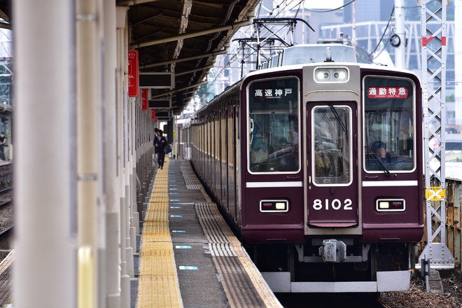 西宮車庫 8000系 8002F の写真 |鉄道写真投稿サイトTrain-Directory