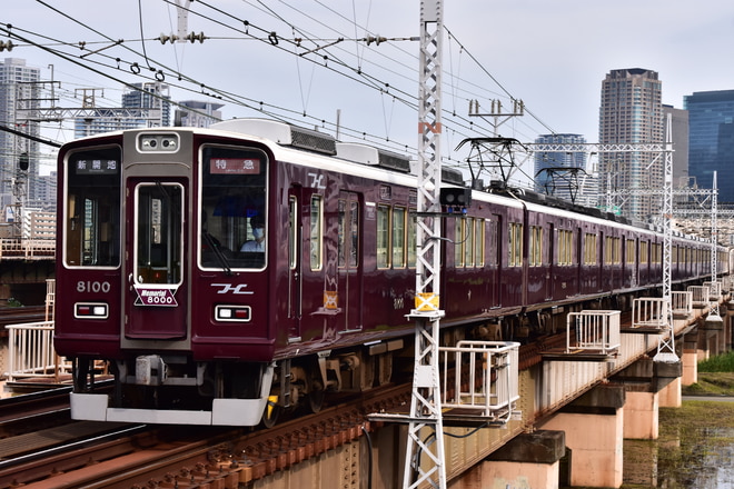 西宮車庫 8000系 8000F の写真 |鉄道写真投稿サイトTrain-Directory