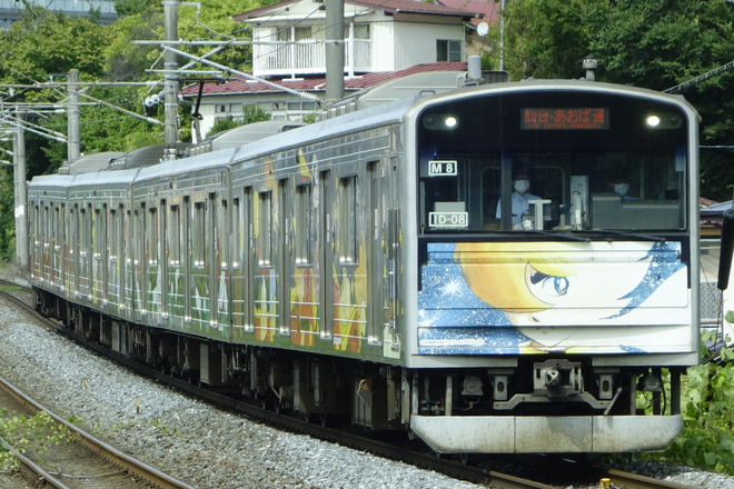 仙台車両センター宮城野派出所 205系3100番台 M8編成 の写真 |鉄道写真投稿サイトTrain-Directory