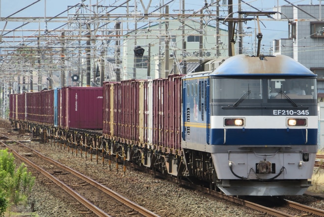新鶴見機関区 EF210 345 の写真 |鉄道写真投稿サイトTrain-Directory