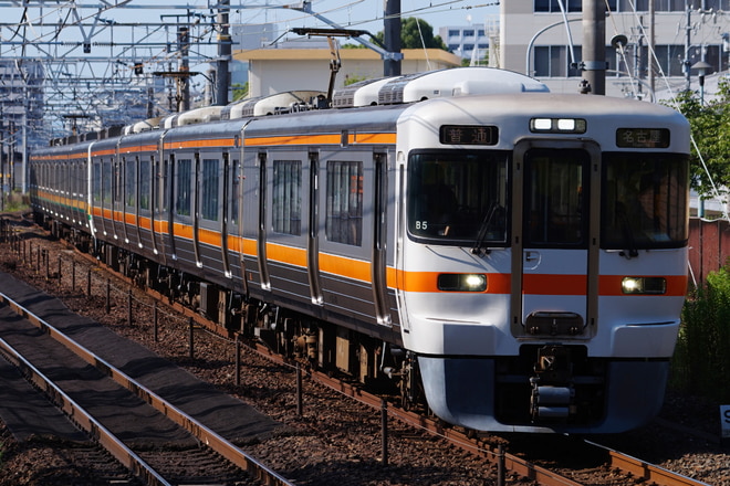 神領車両区 313系 シンB5編成 の写真 |鉄道写真投稿サイトTrain-Directory