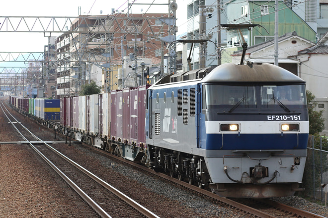 新鶴見機関区 EF210 151 の写真 |鉄道写真投稿サイトTrain-Directory