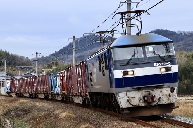 岡山機関区 EF210 5 の写真 |鉄道写真投稿サイトTrain-Directory
