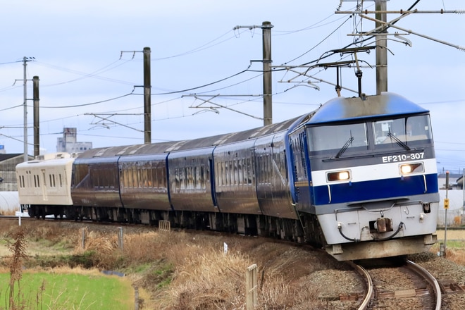 吹田機関区 EF210 307 の写真 |鉄道写真投稿サイトTrain-Directory