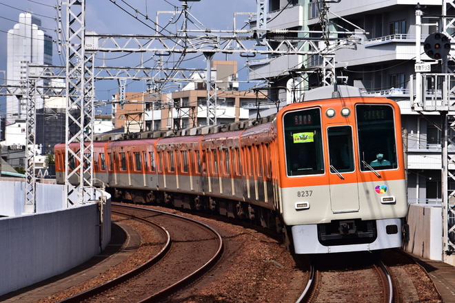 尼崎車庫 8000系 8237F の写真 |鉄道写真投稿サイトTrain-Directory
