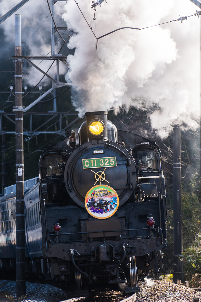 下今市機関区 C11 325 の写真 |鉄道写真投稿サイトTrain-Directory