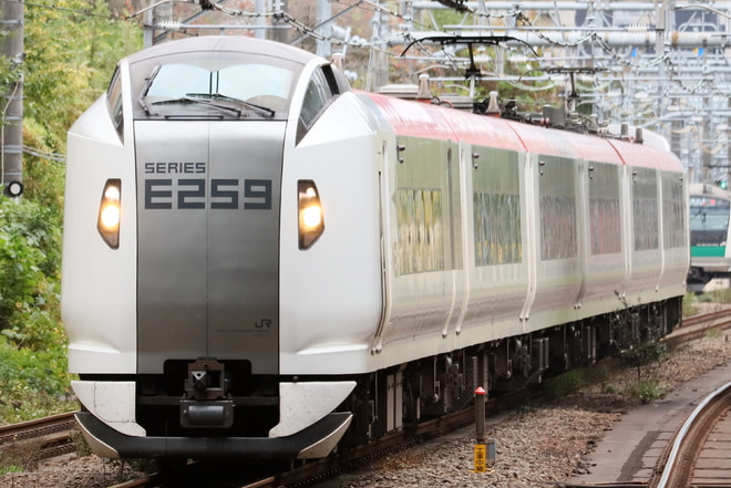 鎌倉車両センター本所 E259系 クラNe009編成 の写真 |鉄道写真投稿サイトTrain-Directory