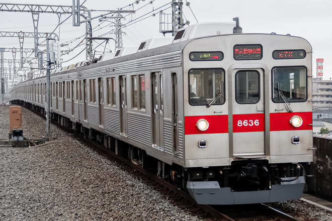 8500系 8636F の写真 |鉄道写真投稿サイトTrain-Directory