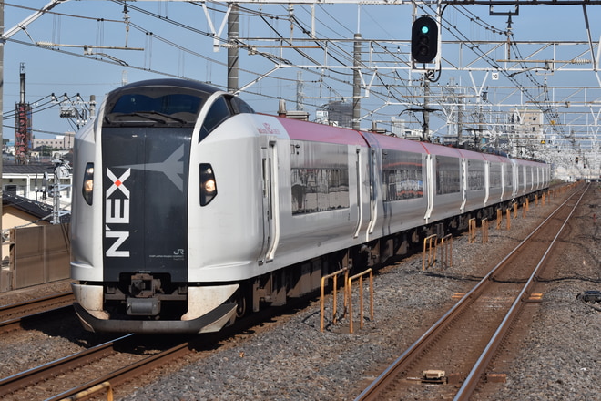 鎌倉車両センター本所 E259系 クラNe018編成 の写真 |鉄道写真投稿サイトTrain-Directory