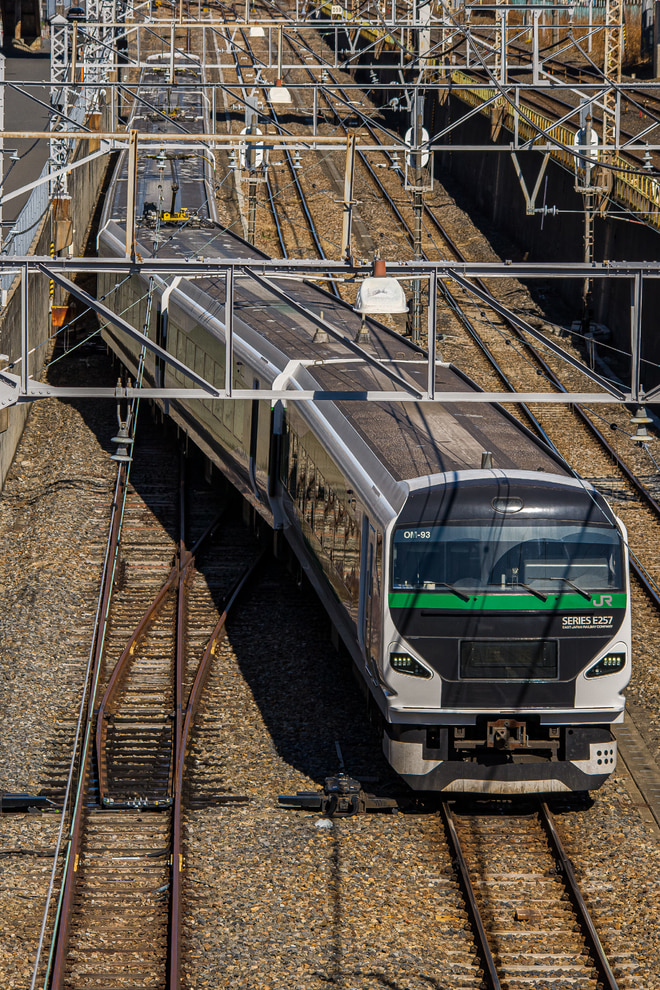大宮総合車両センター東大宮センター E257系5000番台 の写真 |鉄道写真投稿サイトTrain-Directory