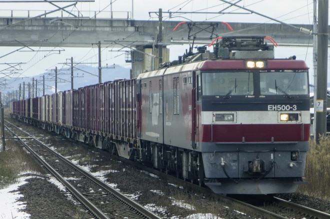 仙台総合鉄道部 EH500 3 の写真 |鉄道写真投稿サイトTrain-Directory