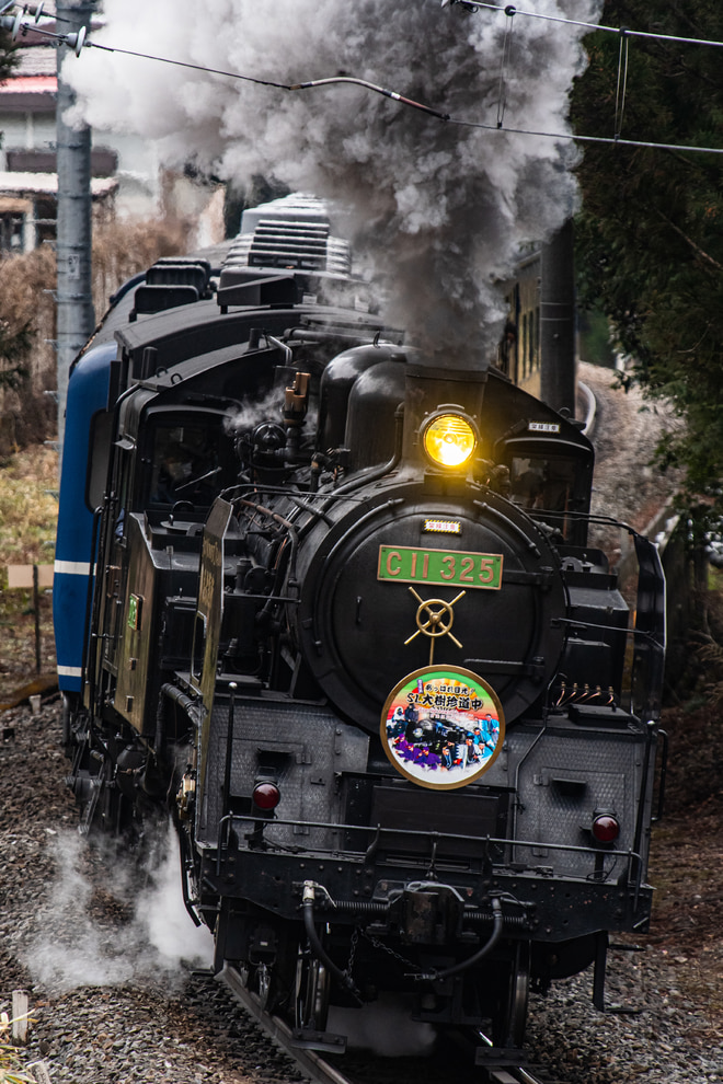 下今市機関区 C11 325 の写真 |鉄道写真投稿サイトTrain-Directory