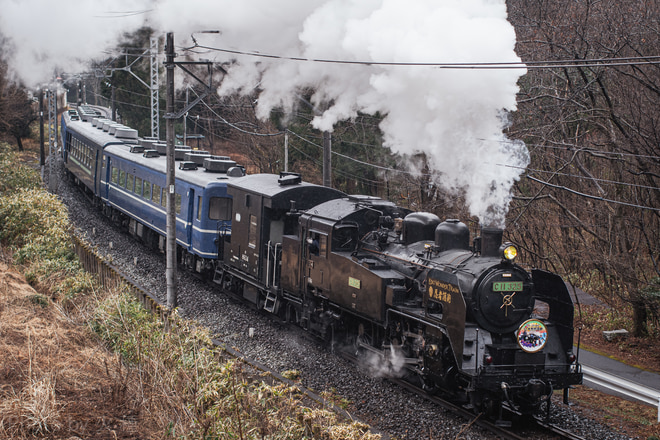 下今市機関区 C11 325 の写真 |鉄道写真投稿サイトTrain-Directory