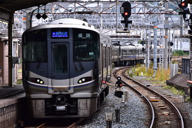 網干総合車両所 225系 I8編成 の写真 |鉄道写真投稿サイトTrain-Directory