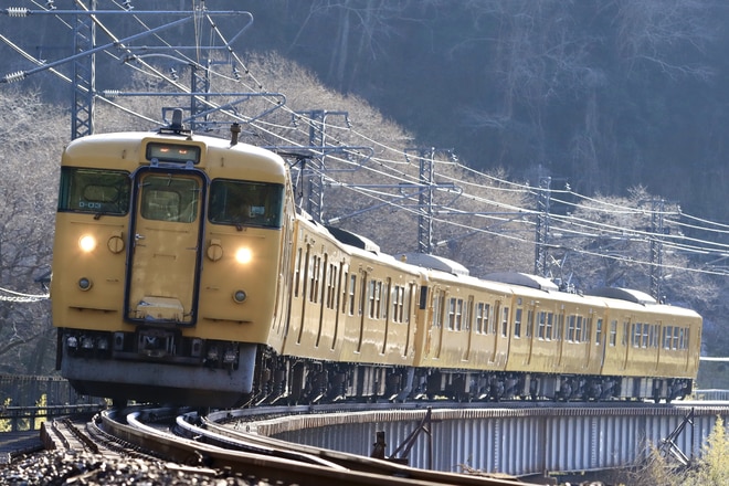 下関総合車両所岡山電車支所 115系 D-03編成 の写真 |鉄道写真投稿サイトTrain-Directory