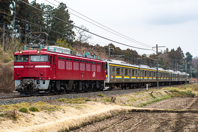 新潟車両センター EF81 141 の写真 |鉄道写真投稿サイトTrain-Directory