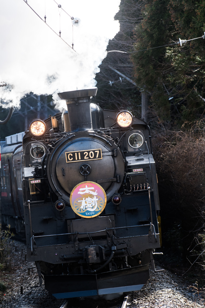 下今市機関区 C11 207 の写真 |鉄道写真投稿サイトTrain-Directory