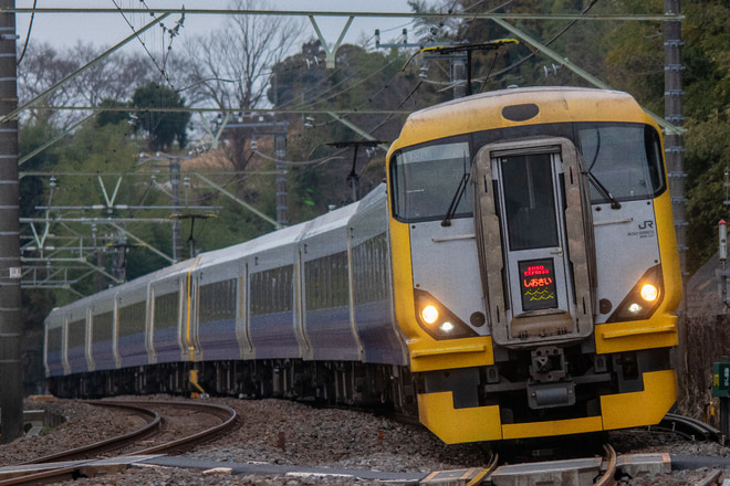 幕張車両センター本区 E257系500番台 の写真 |鉄道写真投稿サイトTrain-Directory