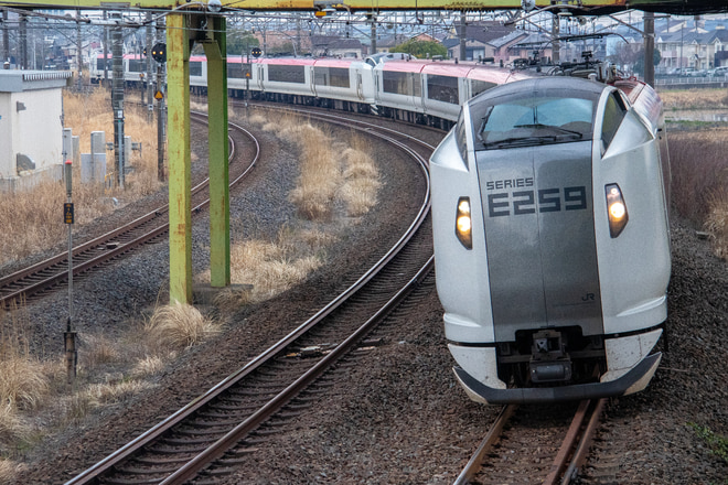 鎌倉車両センター本所 E259系 の写真 |鉄道写真投稿サイトTrain-Directory