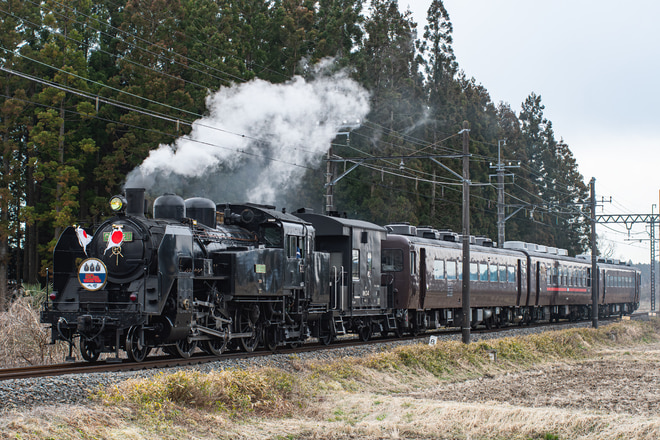 下今市機関区 C11 325 の写真 |鉄道写真投稿サイトTrain-Directory